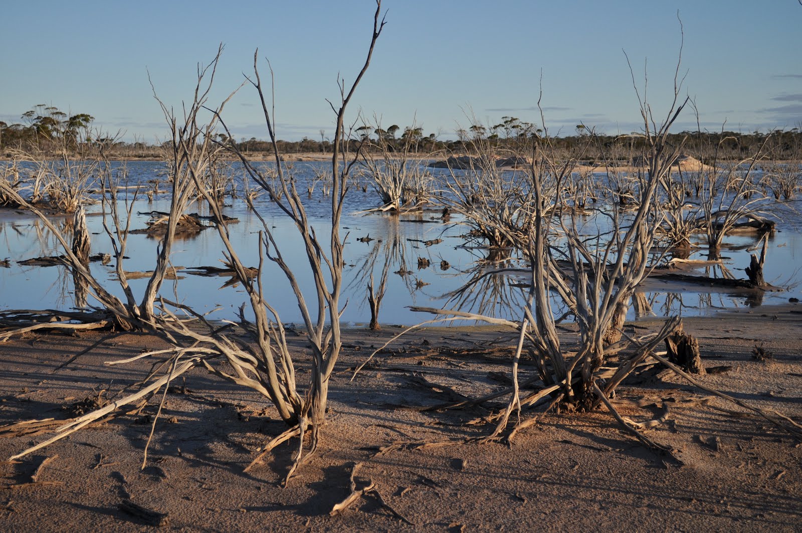 Keep the wheels spinning: Soil Salinity in Australia.