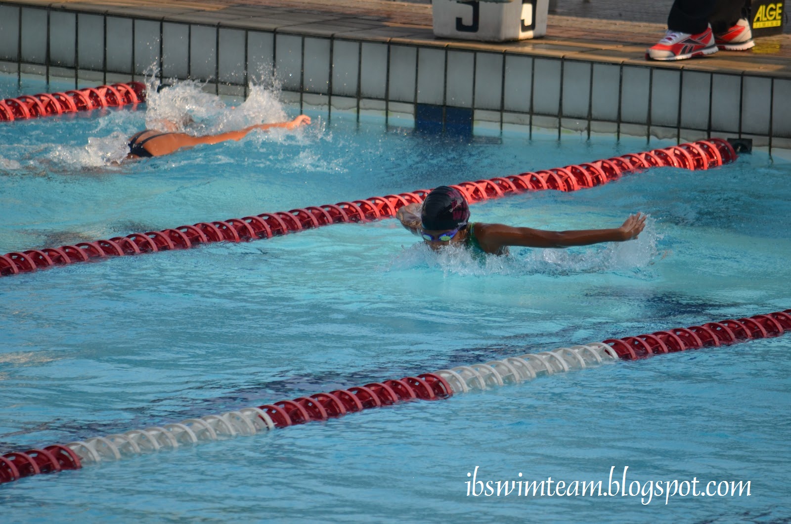 Ikan Bilis Swimming Club (1971) KL: IBSC is Overall Champion again in ...