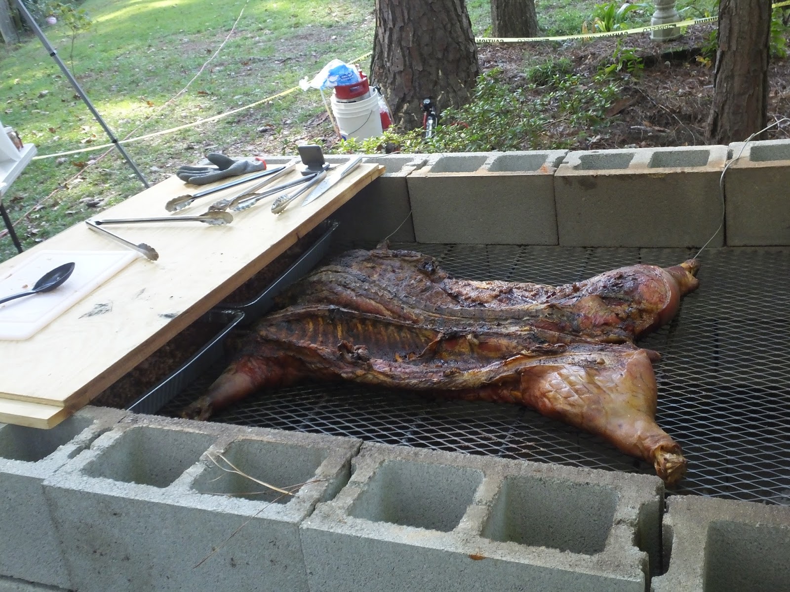 Ox and Brock: How to Build a Pit and Cook a Whole Pig Like a Champion ...
