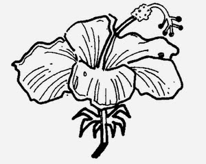 Dunia Sekolah: Gambar Hitam Putih (Drawing) - Bunga & Pokok