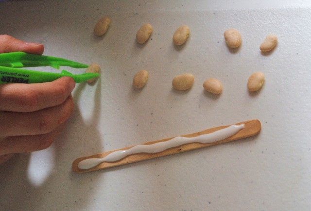 Mommy Maestra: Math Manipulative: Bean Counters {TUTORIAL}