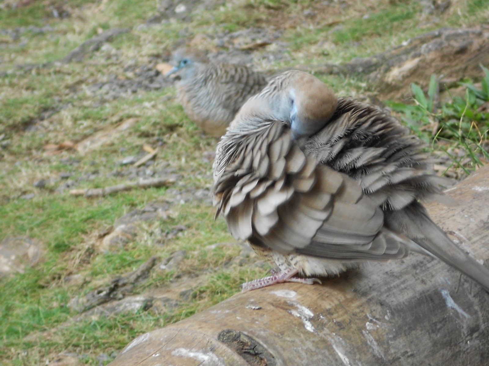 CTE Hawaii Film Project Blog