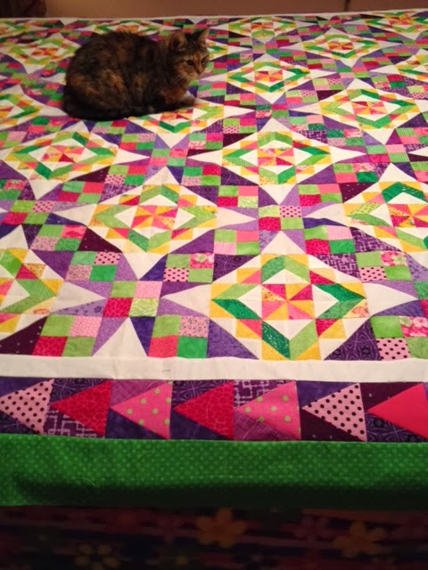 Debbie's Kitties and Quilts: Celtic Solstice Top Finished