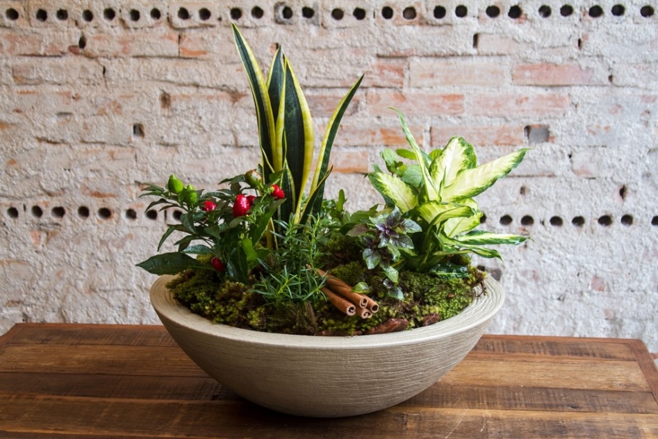 Guia Espiritual: Banho magico das 7 ervas contra inveja mau olhado