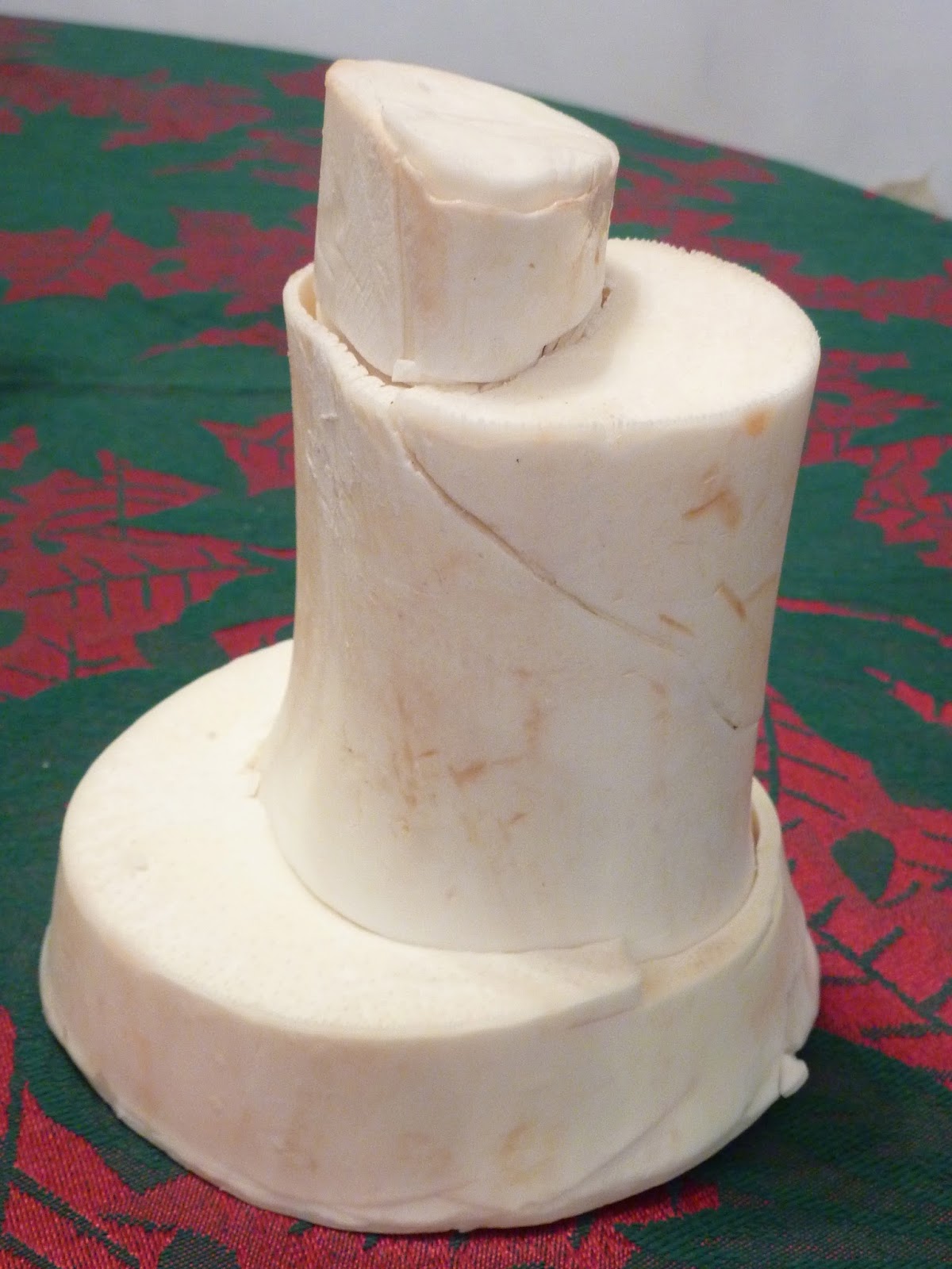 COCONUT 101: TREE OF LIFE