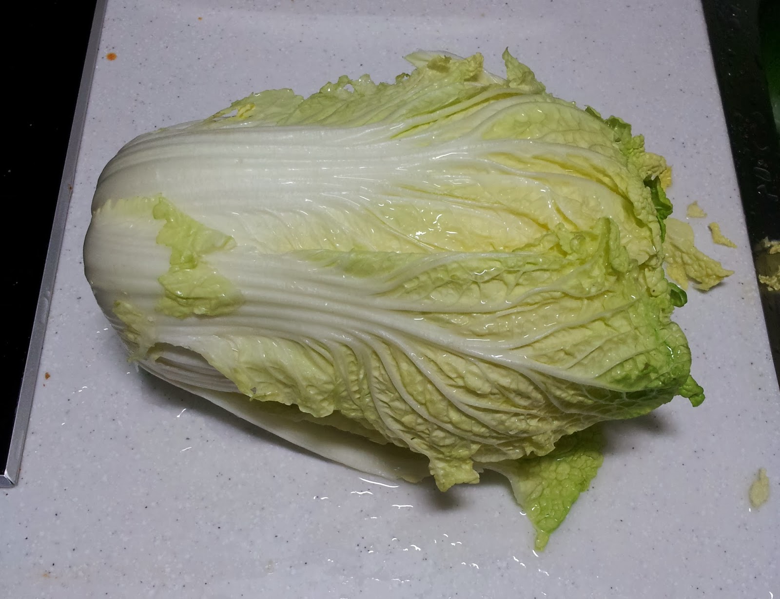 Quer aprender a cozinhar? Coreia: Faça seu kimchi!