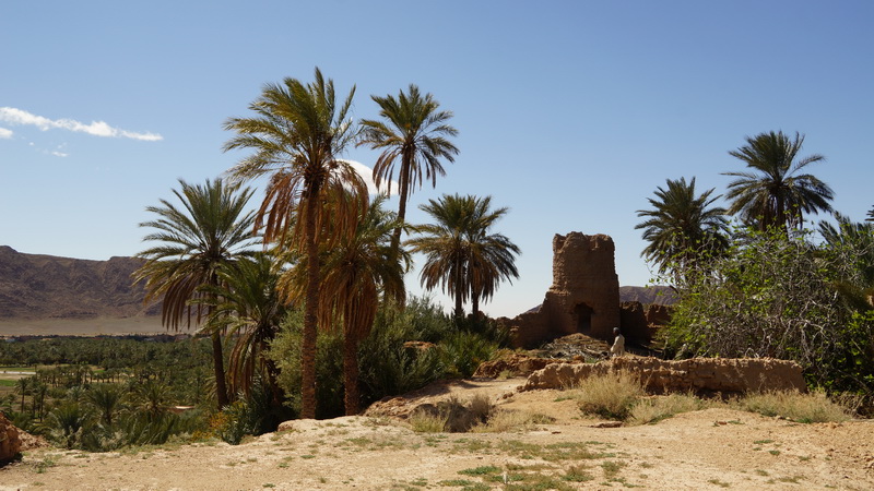 Danielle & François au Maroc 2013: Visite de Figuig