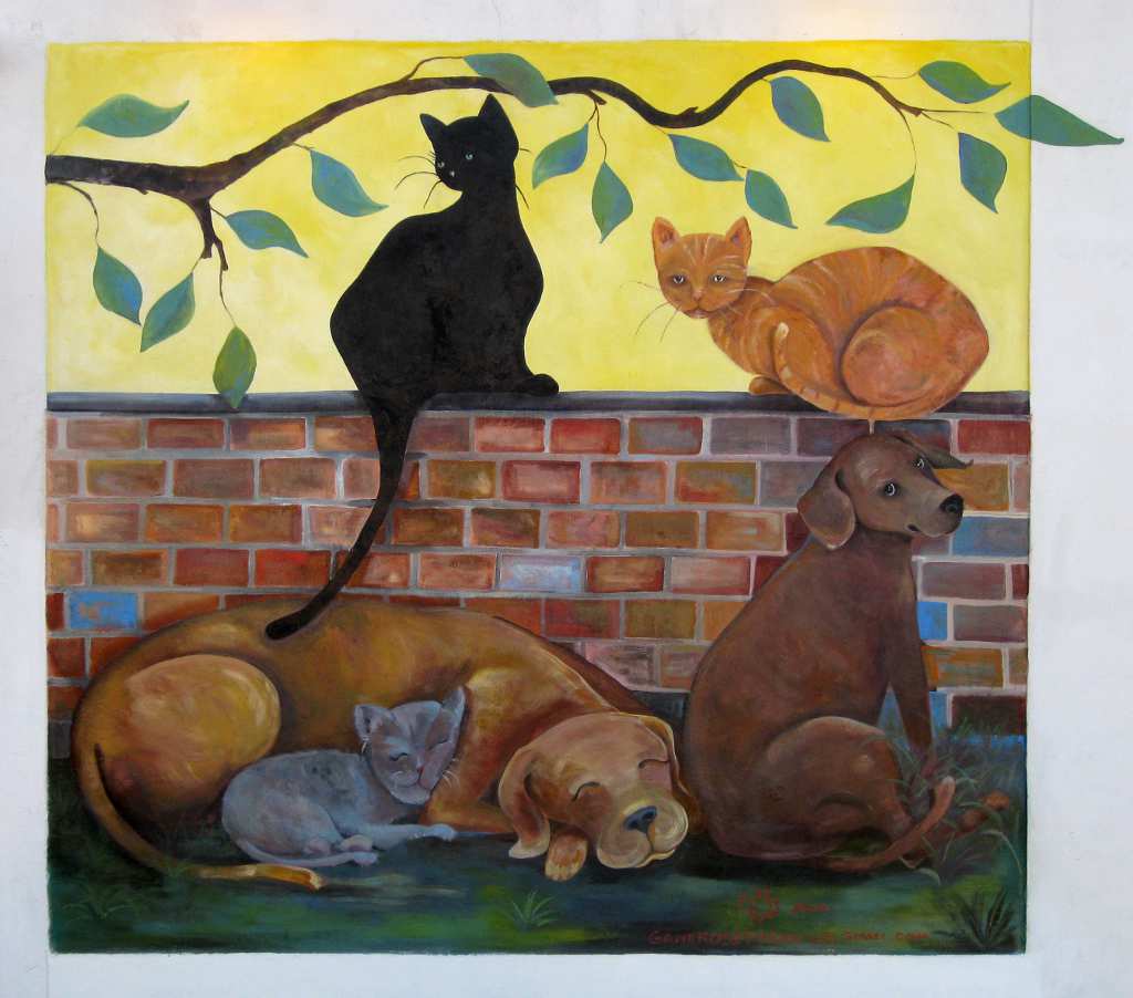 The Tucson Murals Project: Ajo Veterinary Clinic