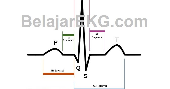 Cara Membaca EKG ~ Cara Membaca EKG