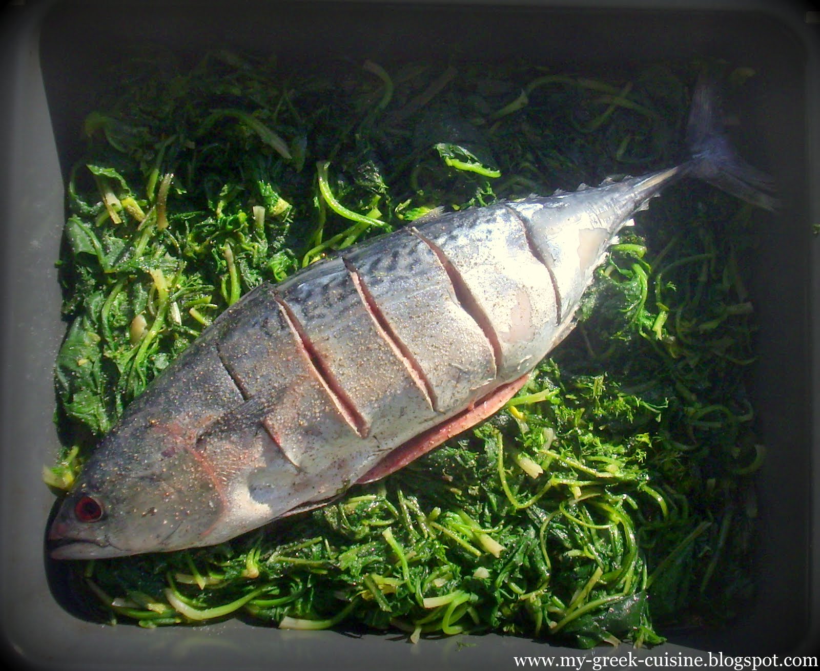 My Greek Cuisine: Palamida me chorta plaki