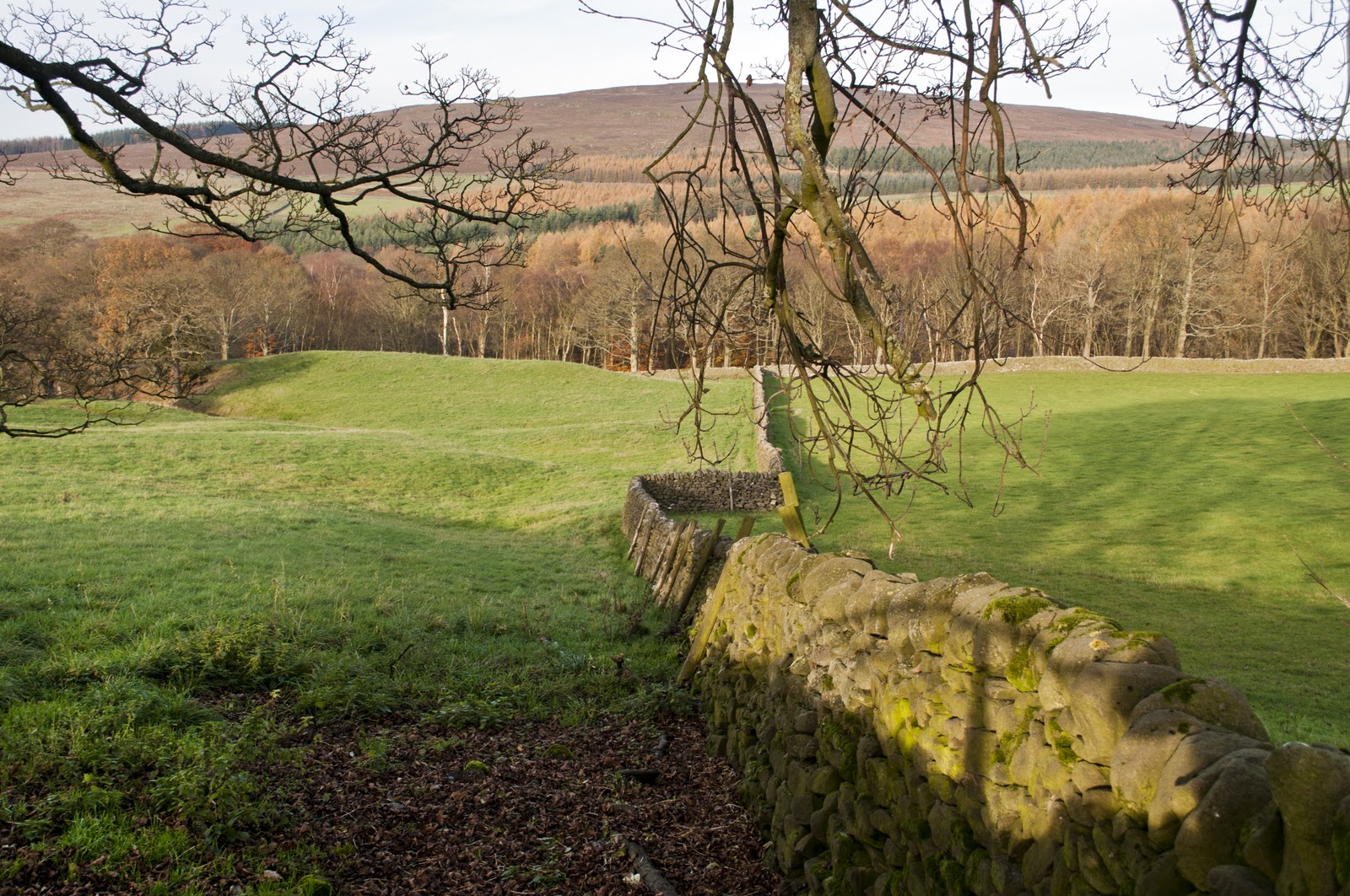 Wigtwizzle - Norman Smith's Travel Blog.: Skipton