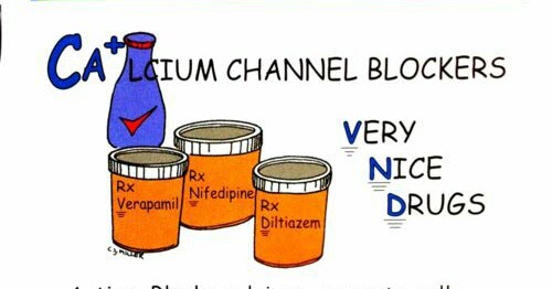 Medical and Health Science: Calcium Channel Blocker!!
