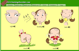 FSLOVENGLISH: Los 5 sentidos: The five senses.