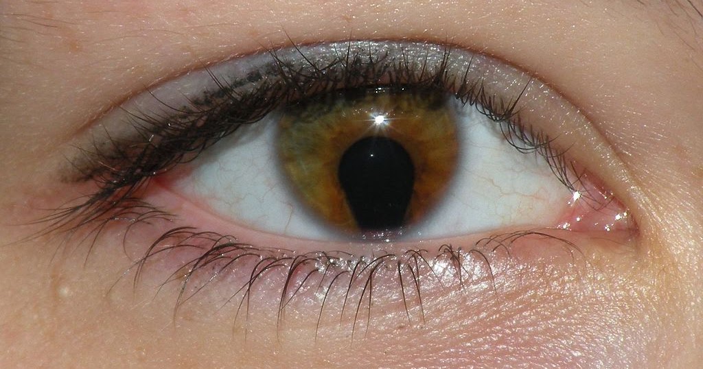 Earth and Space News: Coloboma Eyed Madeleine McCann Lookalike Sighting ...