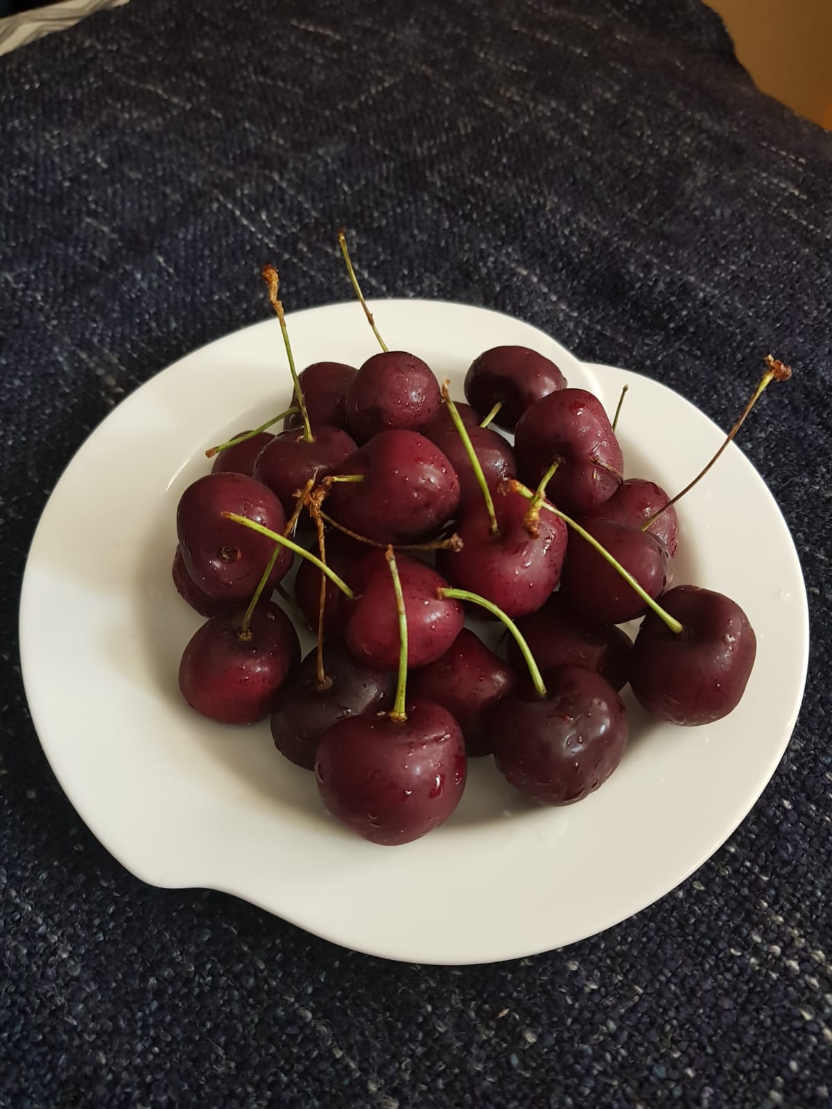 Ceri | Life Is Beautiful