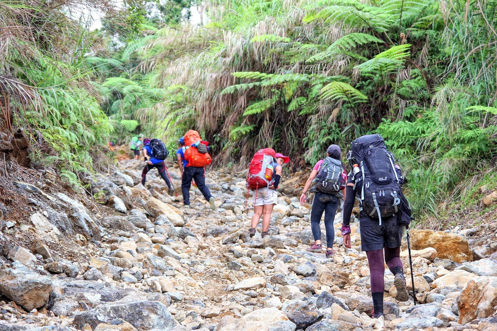 Ikalahan: Mt. Tapulao: Rocky Road to Summit