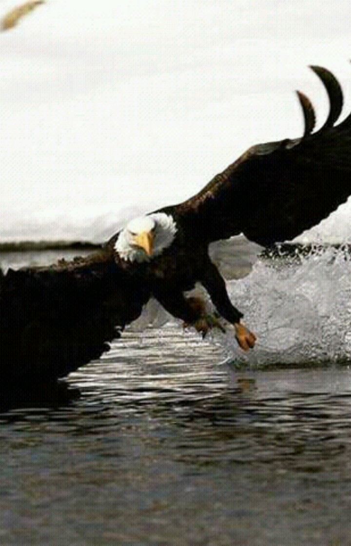 Ragul: Rahul max Konstan