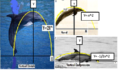 Parabolas In Real Life Examples