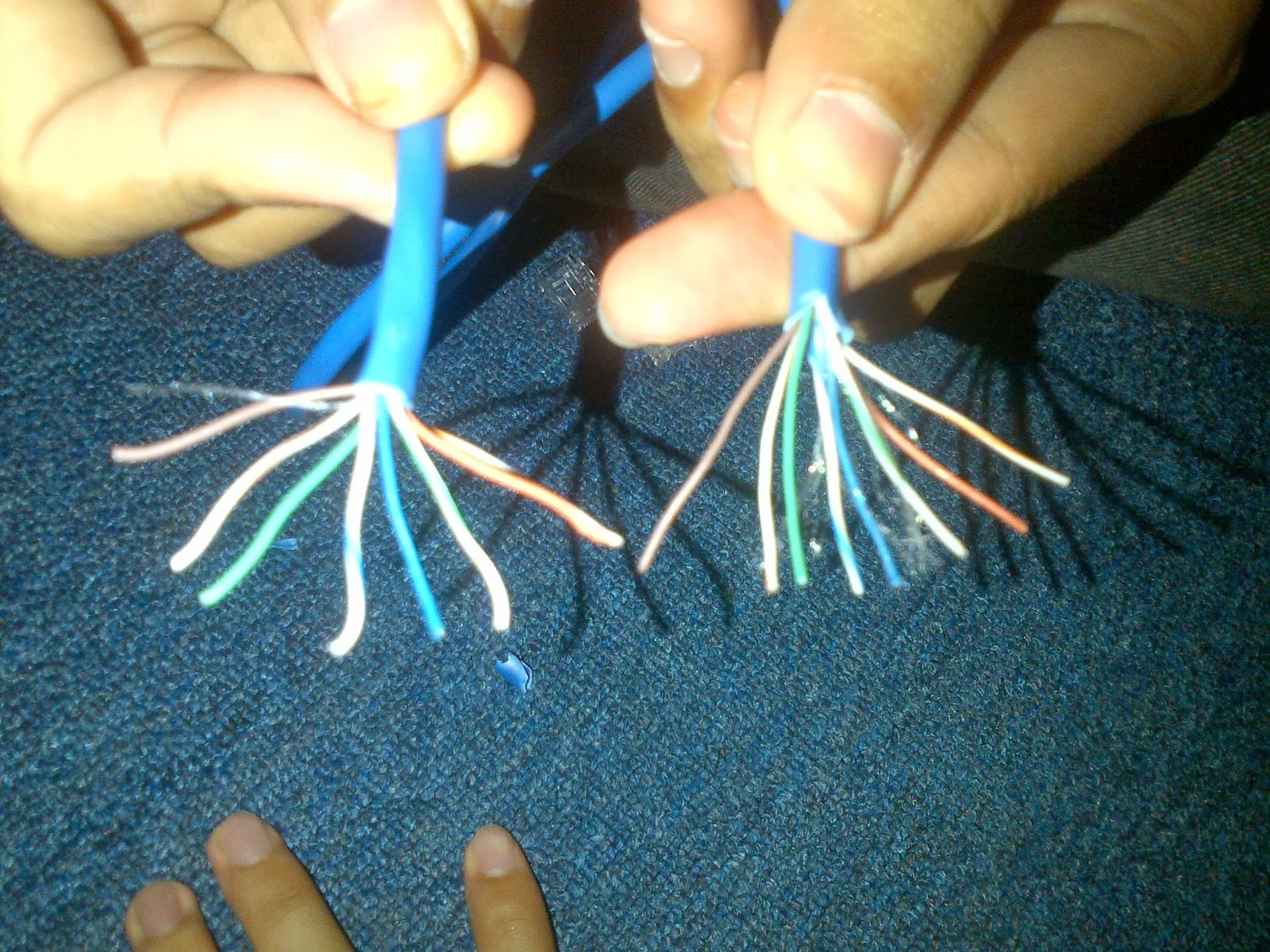 Rhegista Wilmando Biovananda