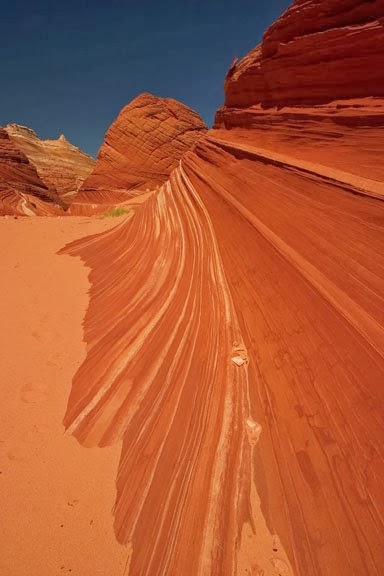 A LOS ORÍGENES: The Wave - Estados Unidos