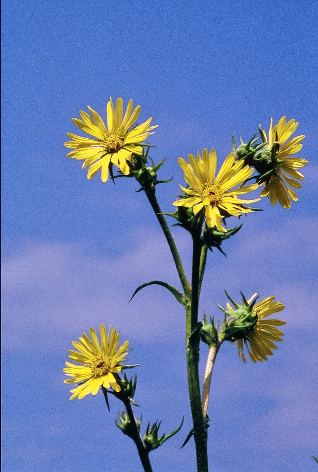 Nature Net: August 2012