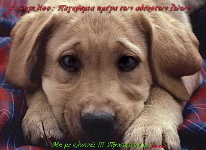 Το νέο νηπιαγωγείο που ονειρεύομαι : Παγκόσμια ημέρα για τα αδέσποτα ...