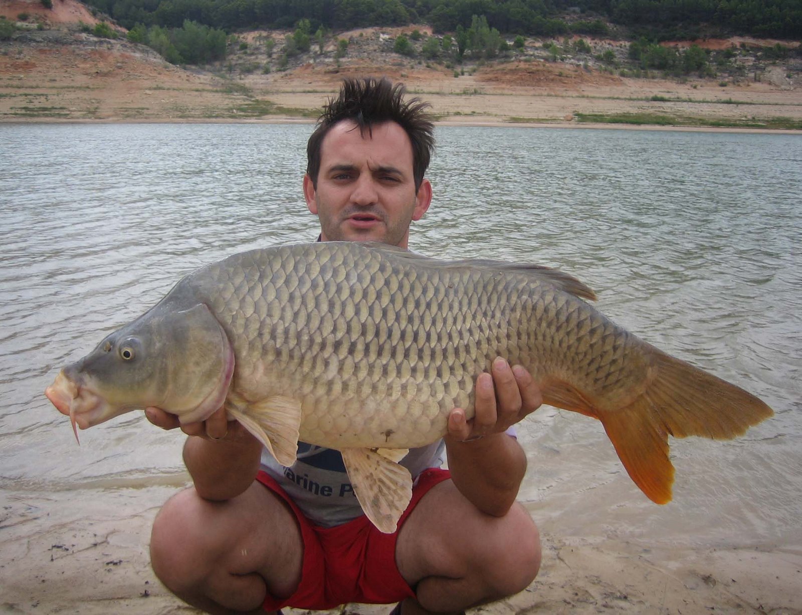 fotos pesca de agua dulce: Carpas