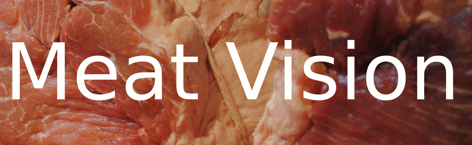 Meat Vision