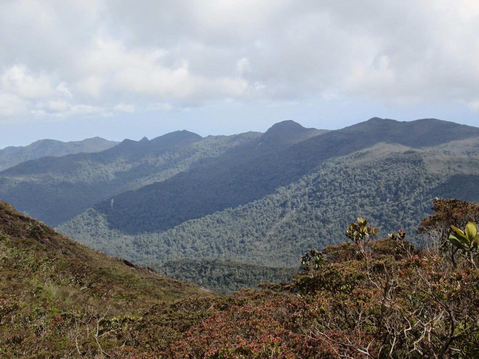Hiking and Stuff: Gunung Tahan via Merapoh