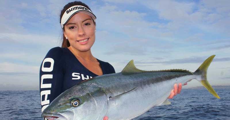 Thucphamchatluonguc.com: Giới thiệu cá Kingfish