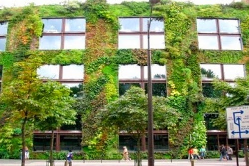 arquitectureando: Imágenes de Hormigón Biológico.