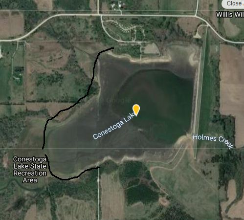 Esa's Birds in Nebraska: Conestoga Lake