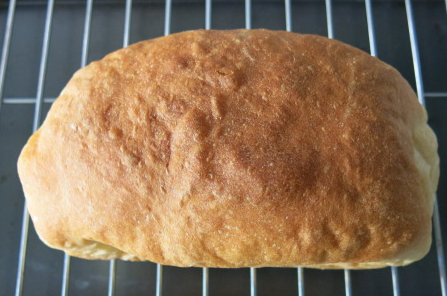 Standard Herman Bread recipe