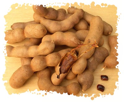 HEALING WITH NATURAL MEDICINE - PROPHETIC (PBUH): Les bienfaits du ...