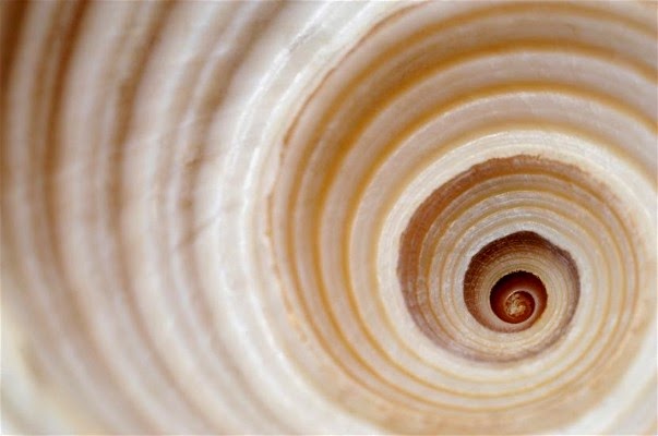 In Her Name ~ Temple of Learning: Navajo chant