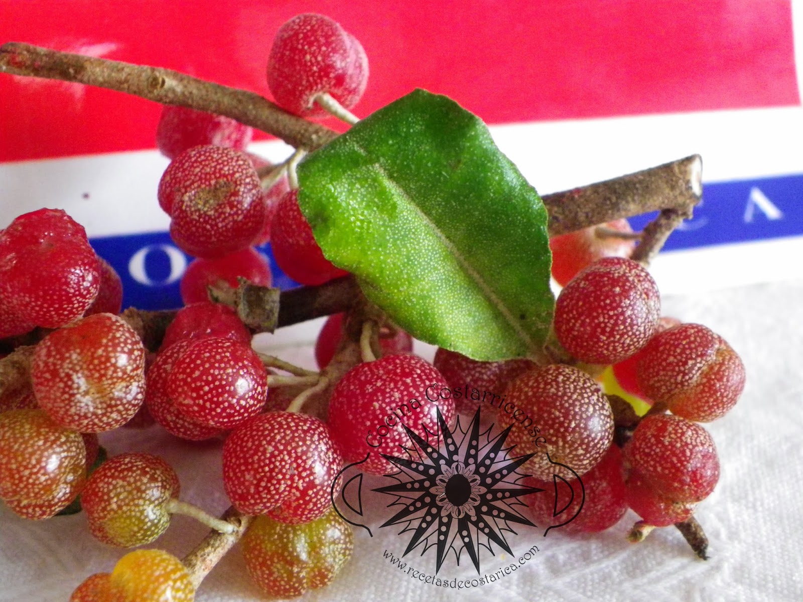 Cocina Costarricense: corinto, uvita tica o grosella roja