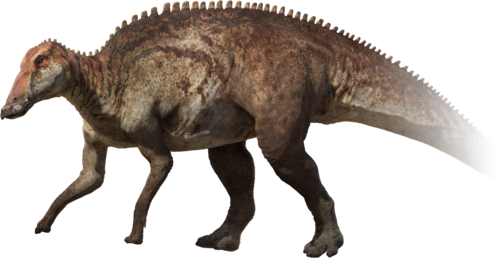 Dinossauros: Edmontossauro