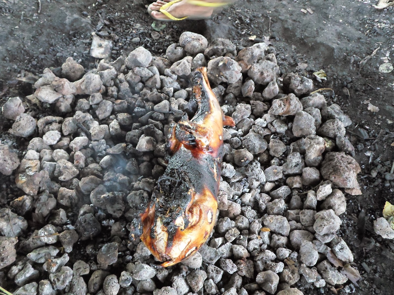 Serving In Savai'i Samoa: Hello From Samoa - July 23, Part 2