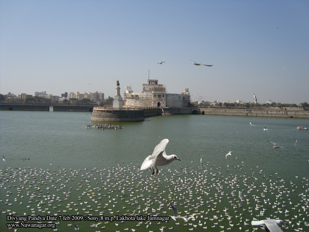 GUJARAT : The State of Lions: JAMNAGAR PHOTO GALLERY