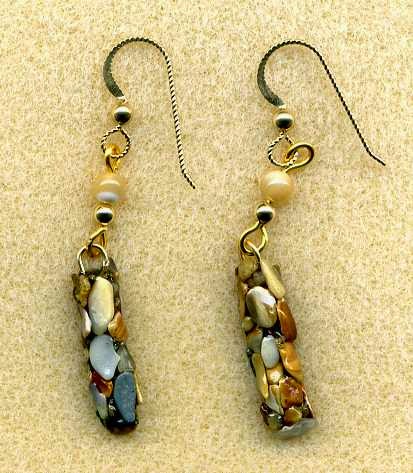 Frigánea encontrada en un charco - Foros Perú