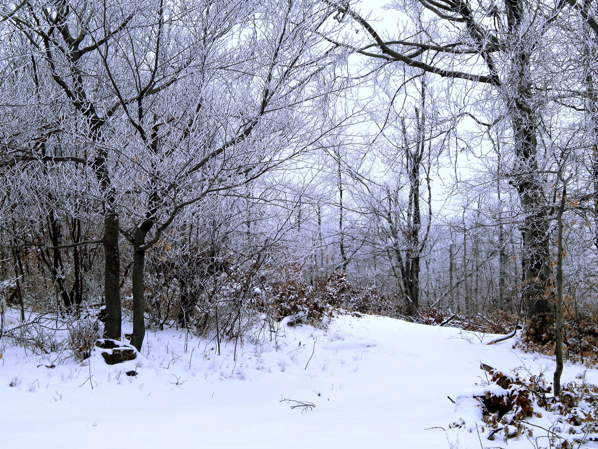 anta | Photography: Deli Jovan (1141 mnv) - Zimski uspon