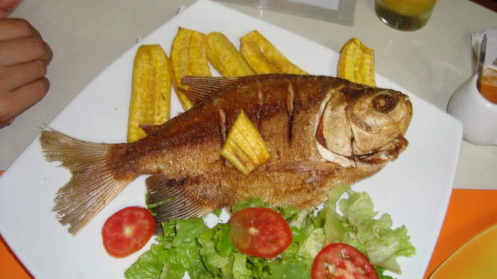 El Paco y la Gamitana: "Peces Amazónicos para el Mundo" - Made In Tingo ...