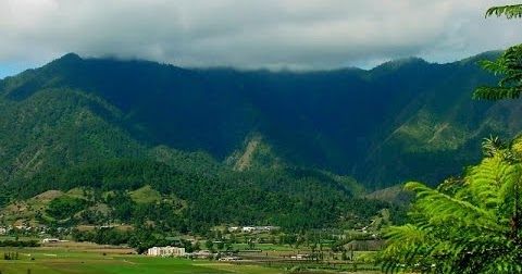 Qué hacer en Constanza?
