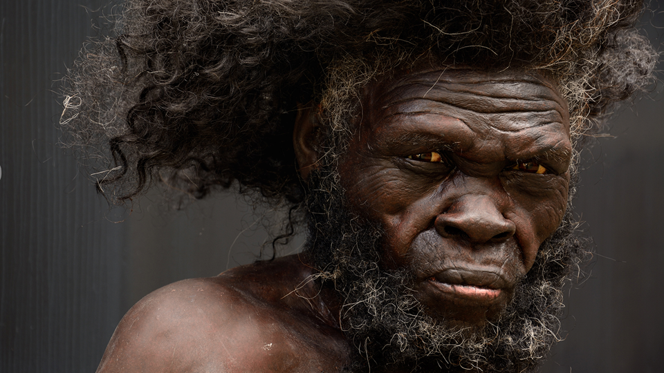 BLOGUE DA NATUREZA EM FORMA: Adaptações dietéticas humanas