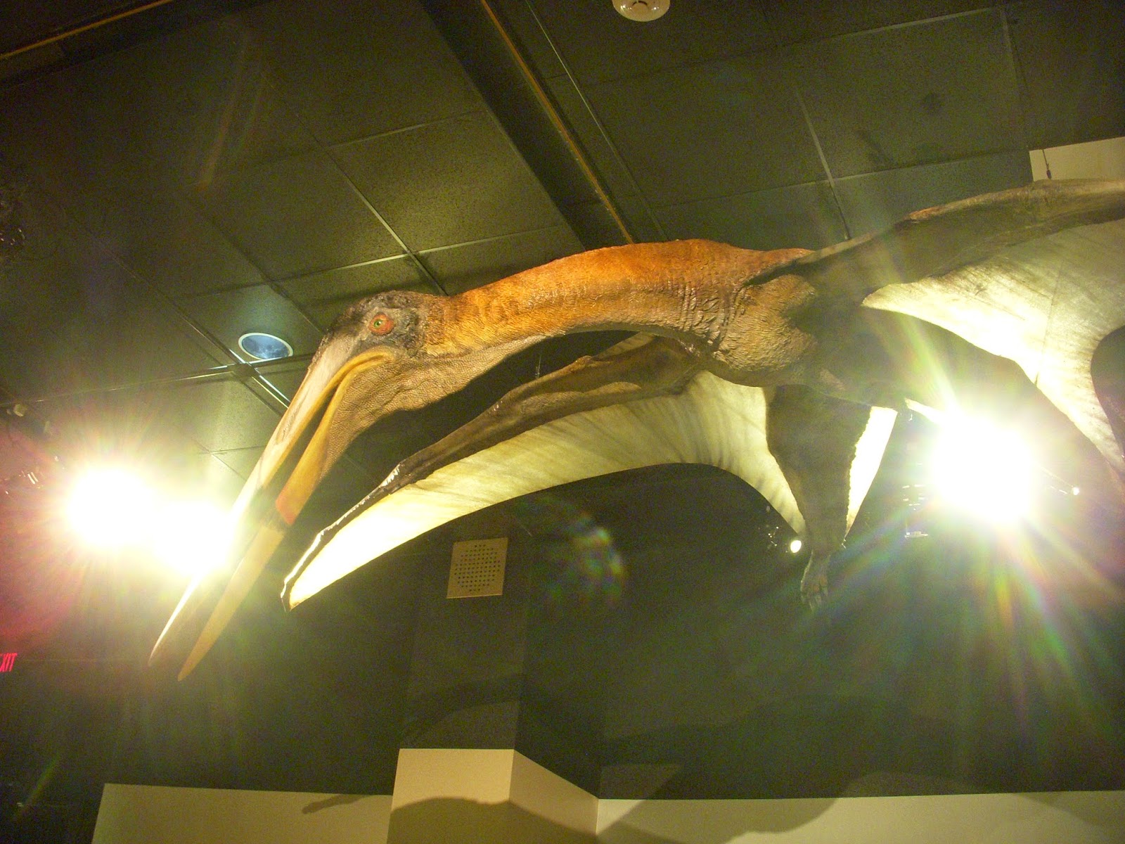 Raptormaniacs: Spinosaurus: Lost Giant of the Cretaceous