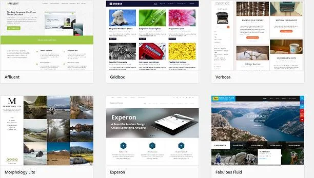 This Is How You Can Start Your WordPress Blog