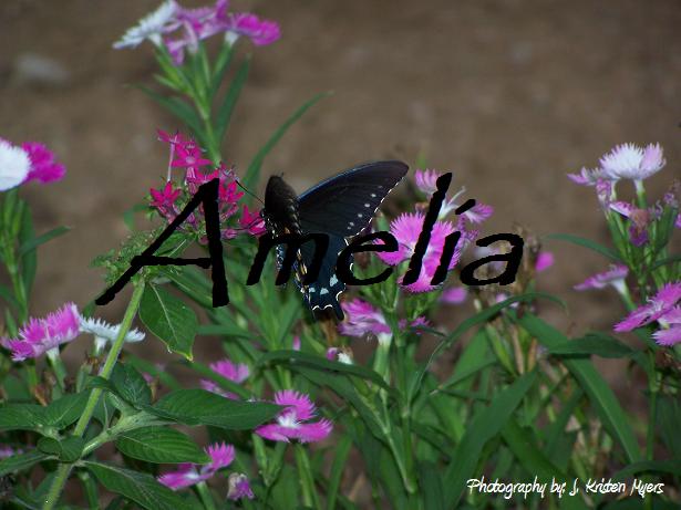 Jaesus The Blogger: Baby Name of the Day- Amelia