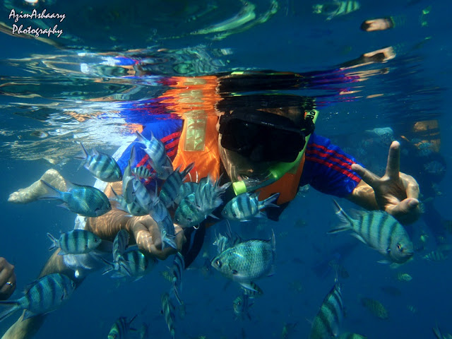 [A].[X].[I].[M].[U].[D]: FINDING NEMO @ PERHENTIAN ISLAND, TERENGGANU