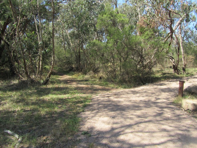 TRACKS, TRAILS AND COASTS NEAR MELBOURNE : Llewellyn Park Reserve ...