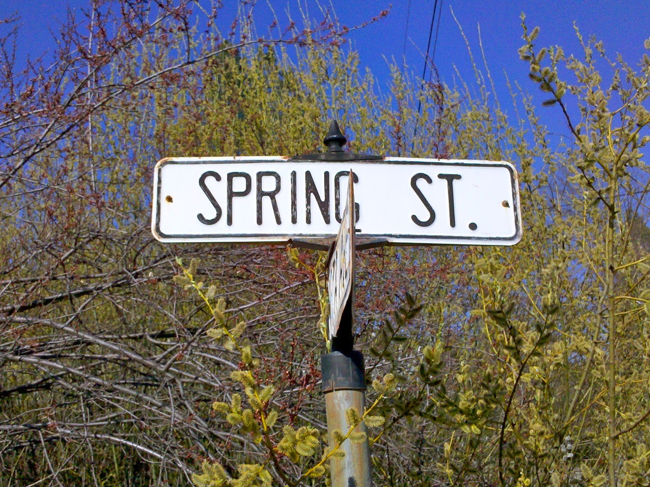 Q-topia: Spring St.